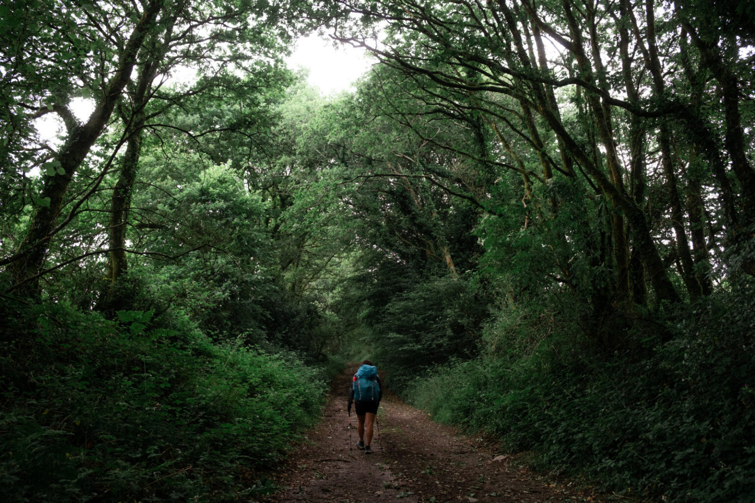 Callac: Schloss, Geschichte und gelebte Traditionen